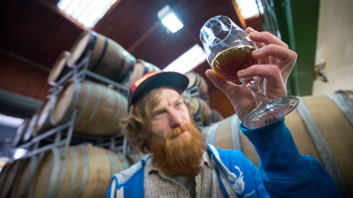 UK brewery numbers rise on back of craft beer surge | The Week