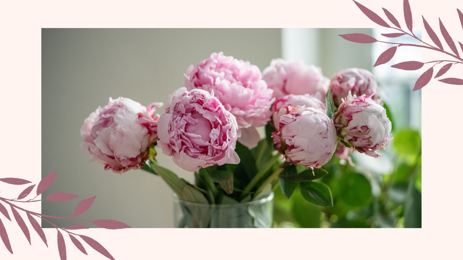 When are peonies in season in the UK? A florist reveals all | Woman & Home
