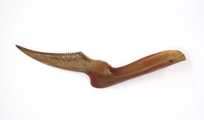 In Photos: The Power of Poison Through Time | Live Science