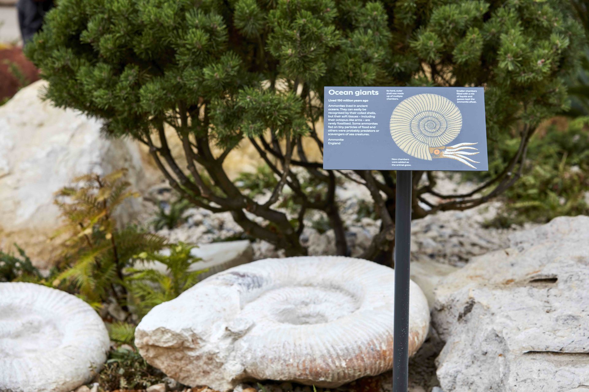 Tour the Natural History Museum’s new dino-filled gardens | Wallpaper*