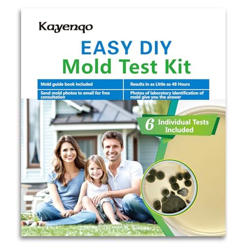 Why testing for mould is good for your home and your health | Homebuilding