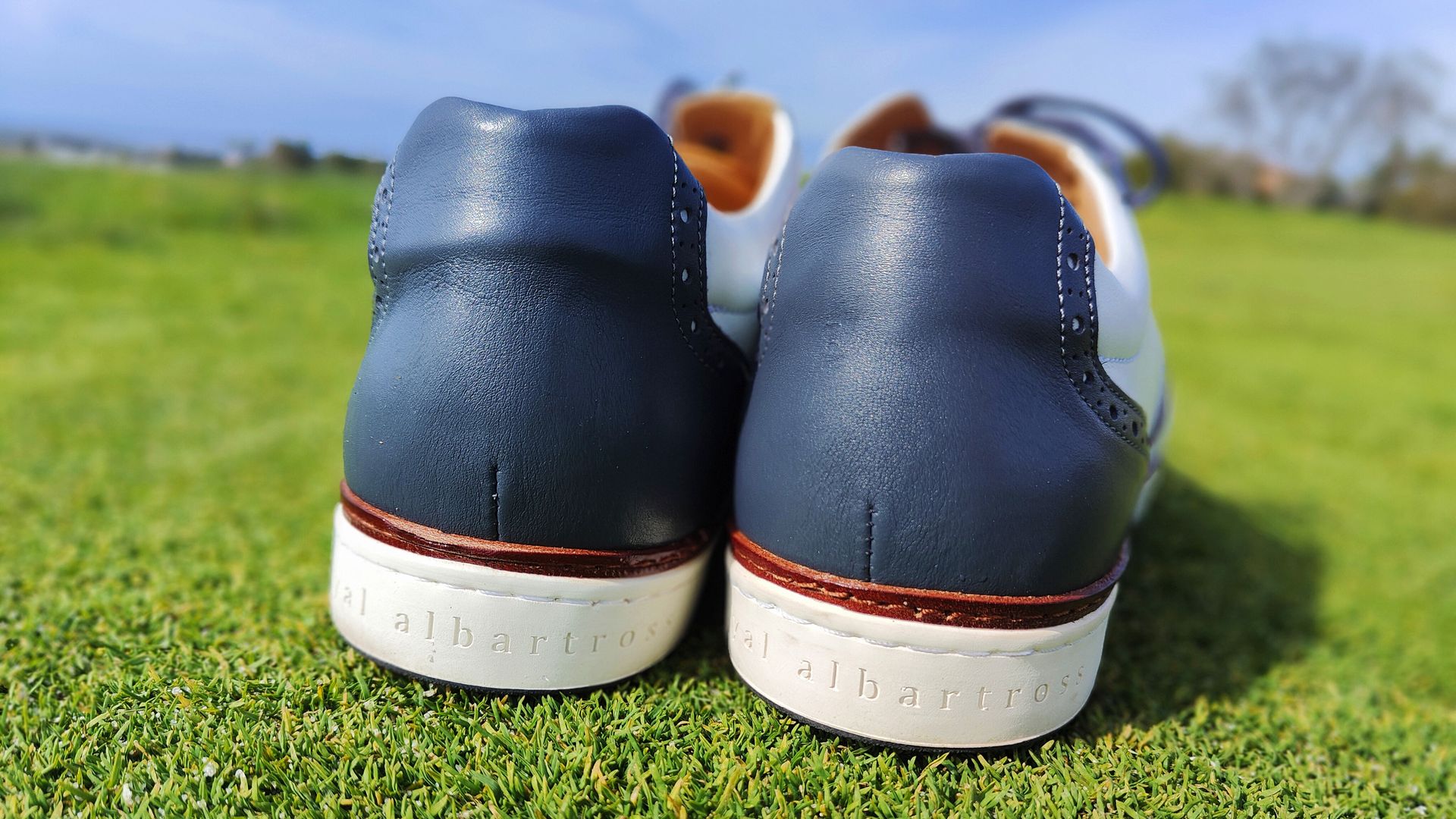 Royal Albartross Kingsman Shoe Review | Golf Monthly
