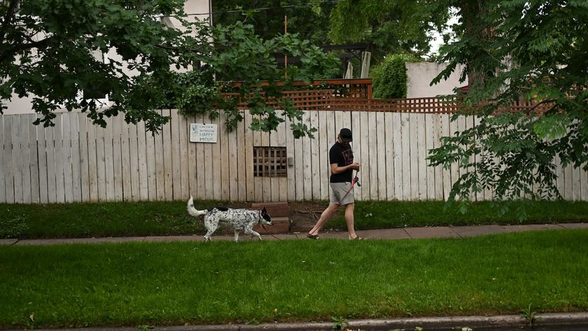 The Incredible Story of the Hackney ‘Mole Man’ | Homebuilding