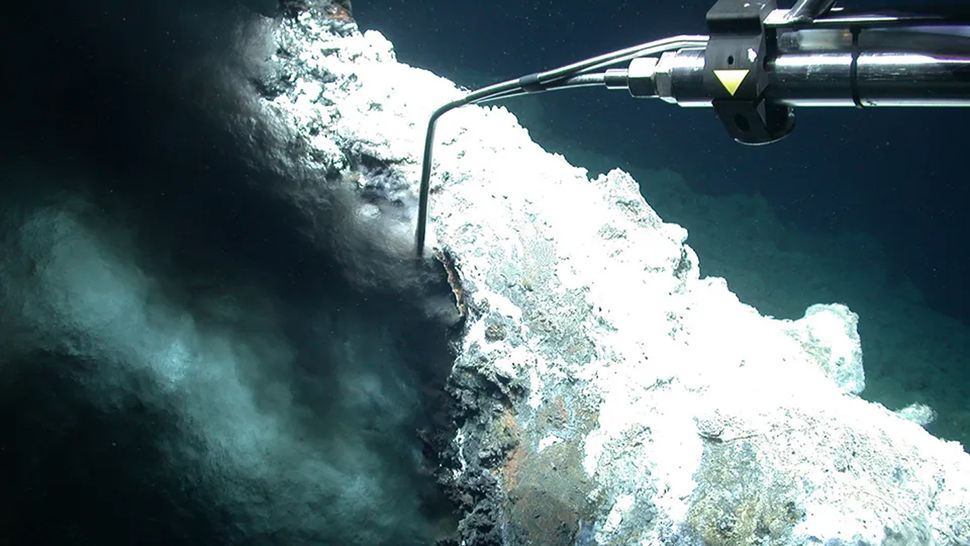 'Dragon' and 'tree of life' hydrothermal vents discovered in Arctic ...