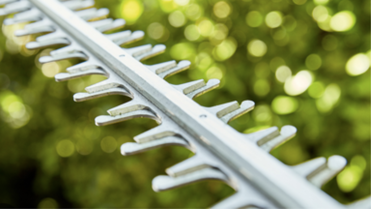 How to clean and maintain your hedge trimmer | Top Ten Reviews