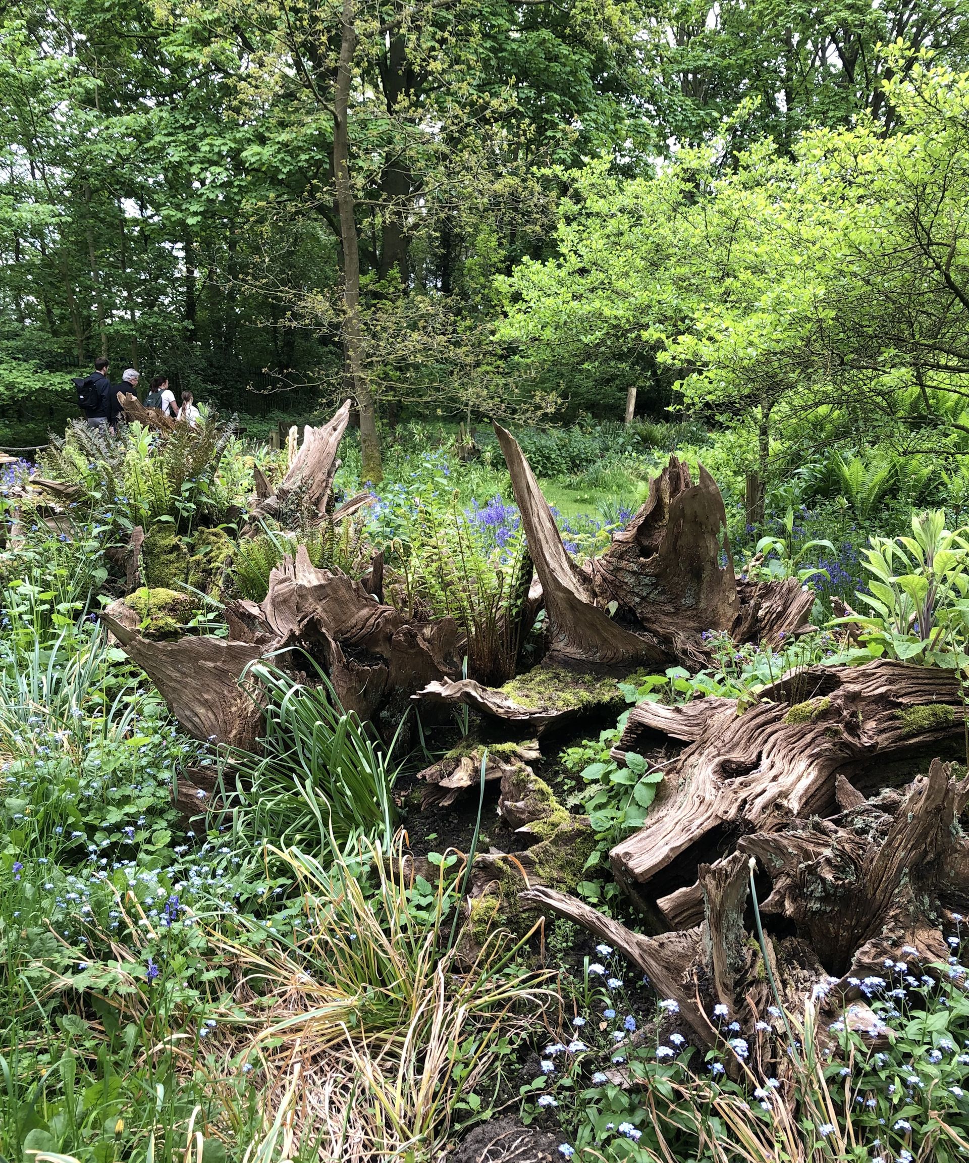 What is a stumpery? - experts explain plus how to create one | Homes ...
