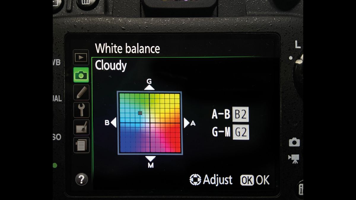 5-minute photo tips: customize the white balance to save yourself time ...