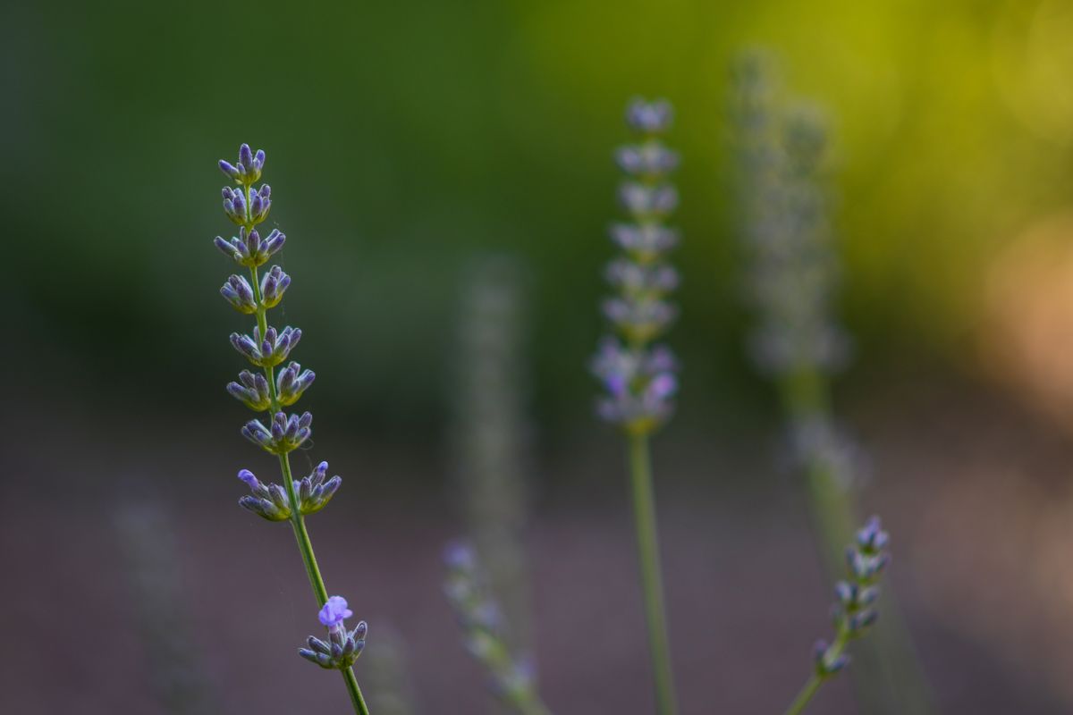 10 reasons why your photos are blurry | TechRadar