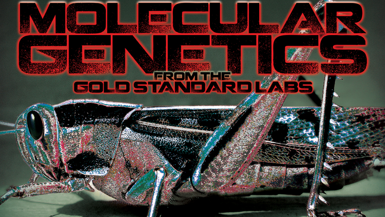 The Locust: Molecular Genetics From The Gold Standard Labs | Louder