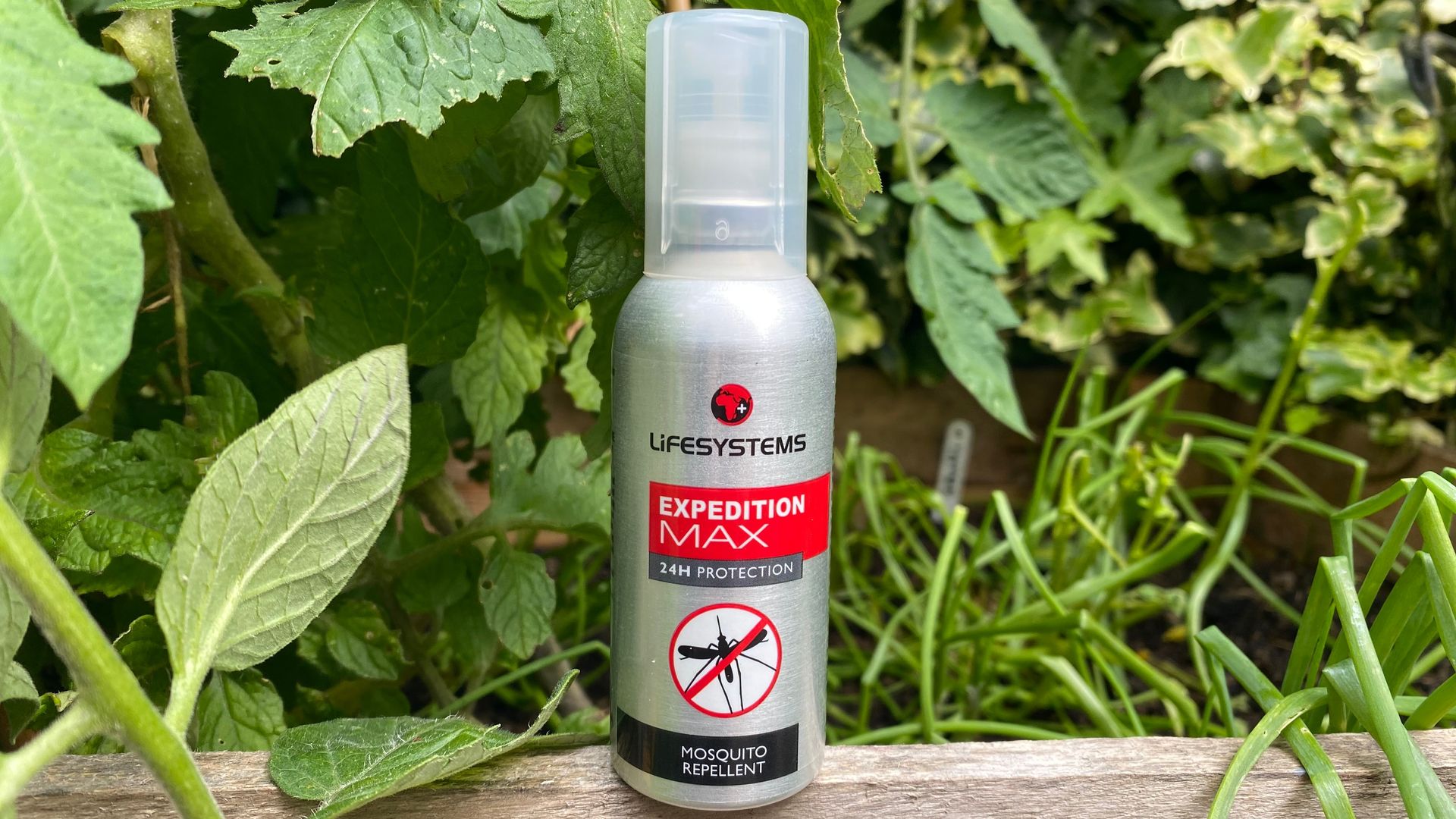 Review: Lifesystems Expedition Max DEET | Advnture