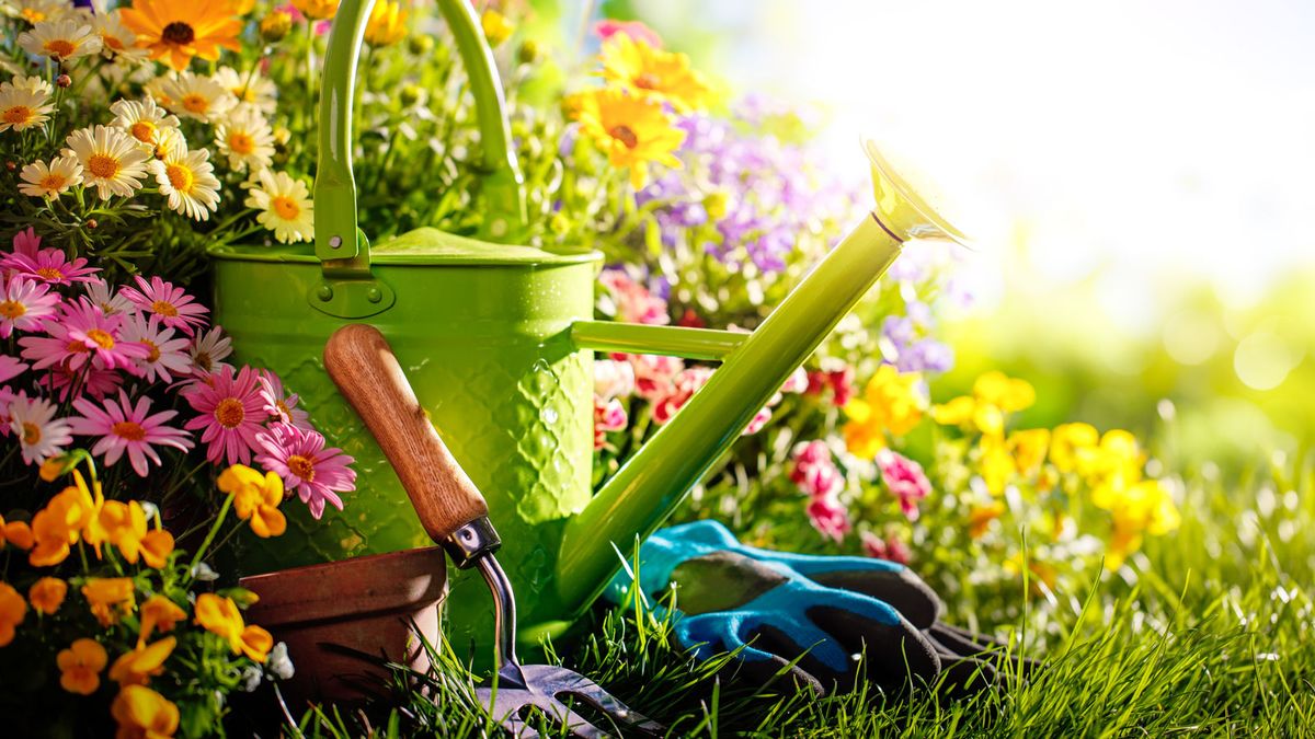 Do These 9 Key August Gardening Jobs Before Summer Ends | Gardening ...