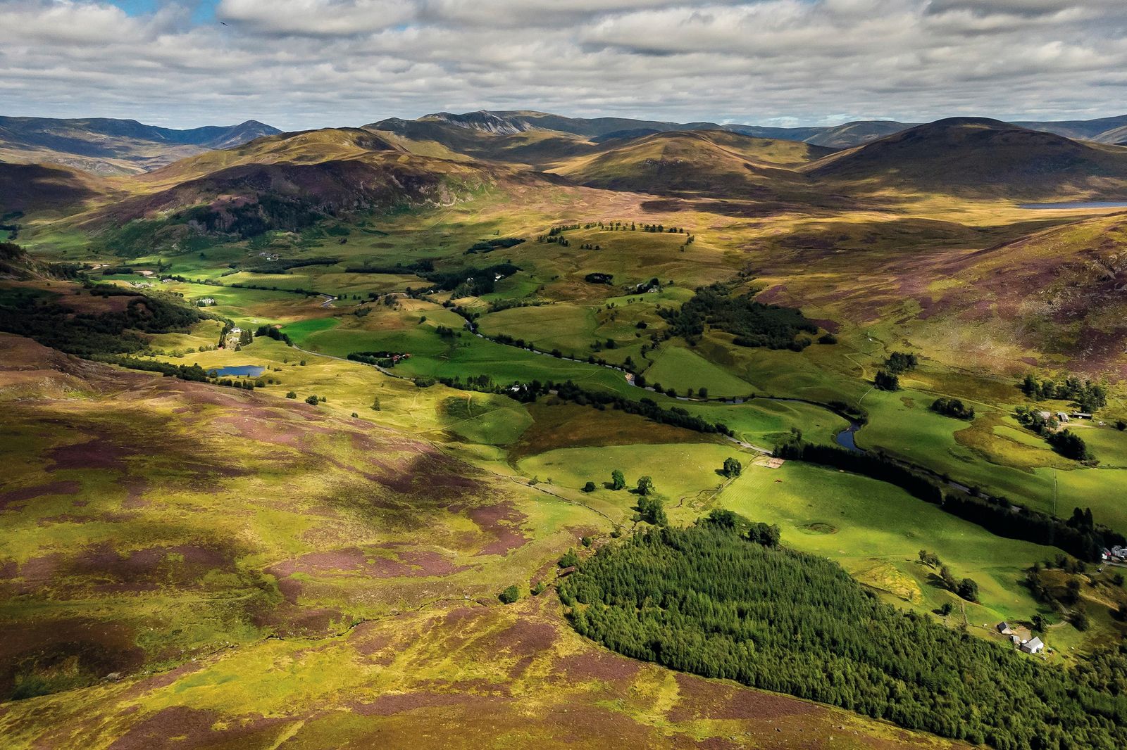 Scotland's sweet secrets: The estates that lit up the market north of ...