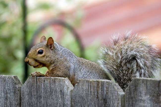 Articles by Sara Goudarzi | Live Science