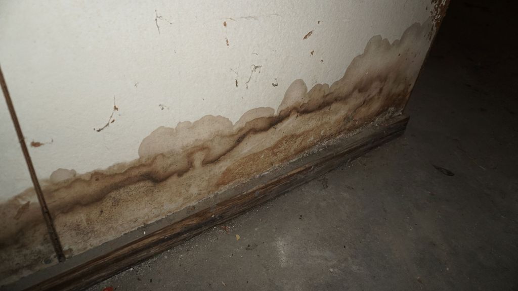 How to treat damp in older houses and keep it away for good | Homebuilding