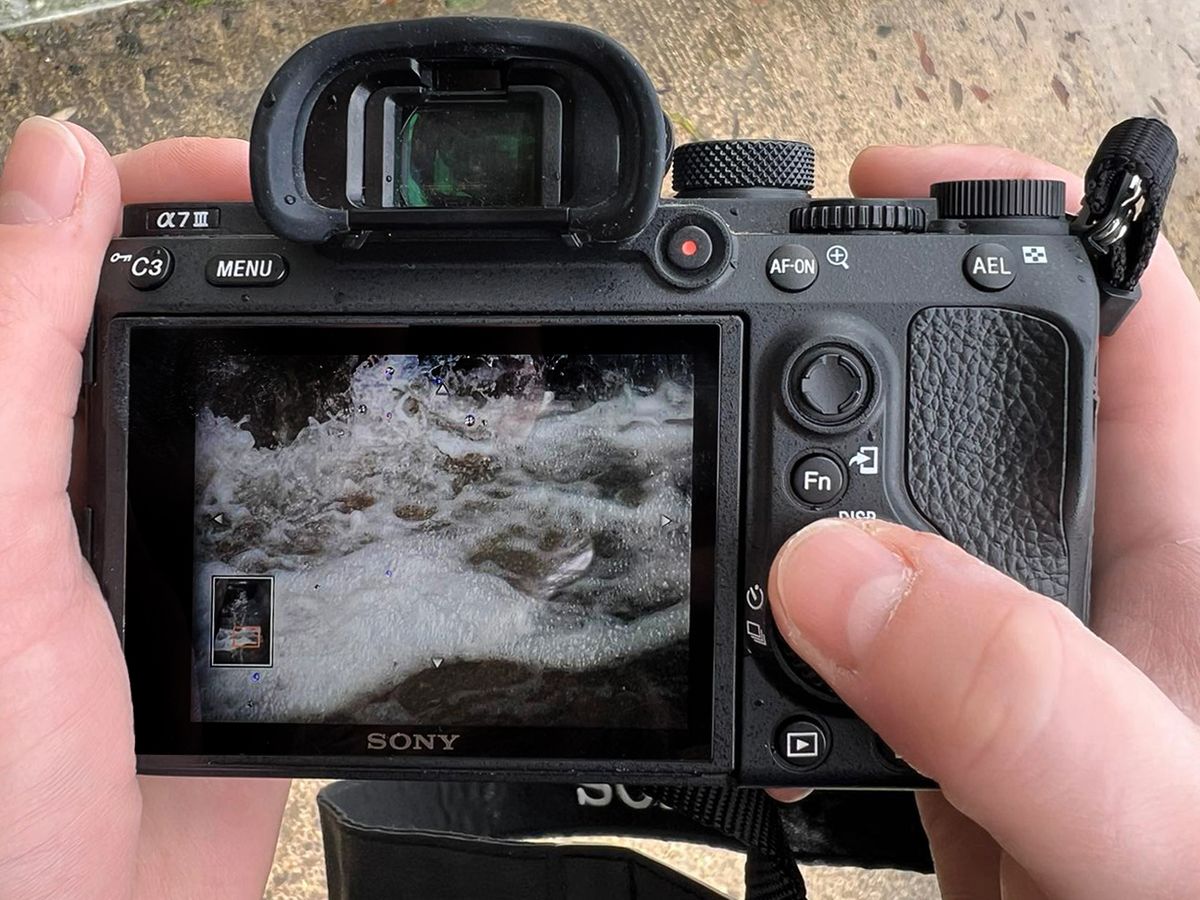 Freeze the motion in your images with this step-by-step tutorial ...