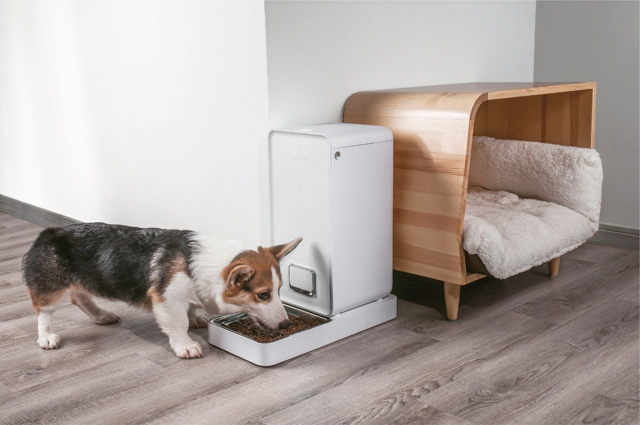 5 gadgets every pet owner needs | Real Homes
