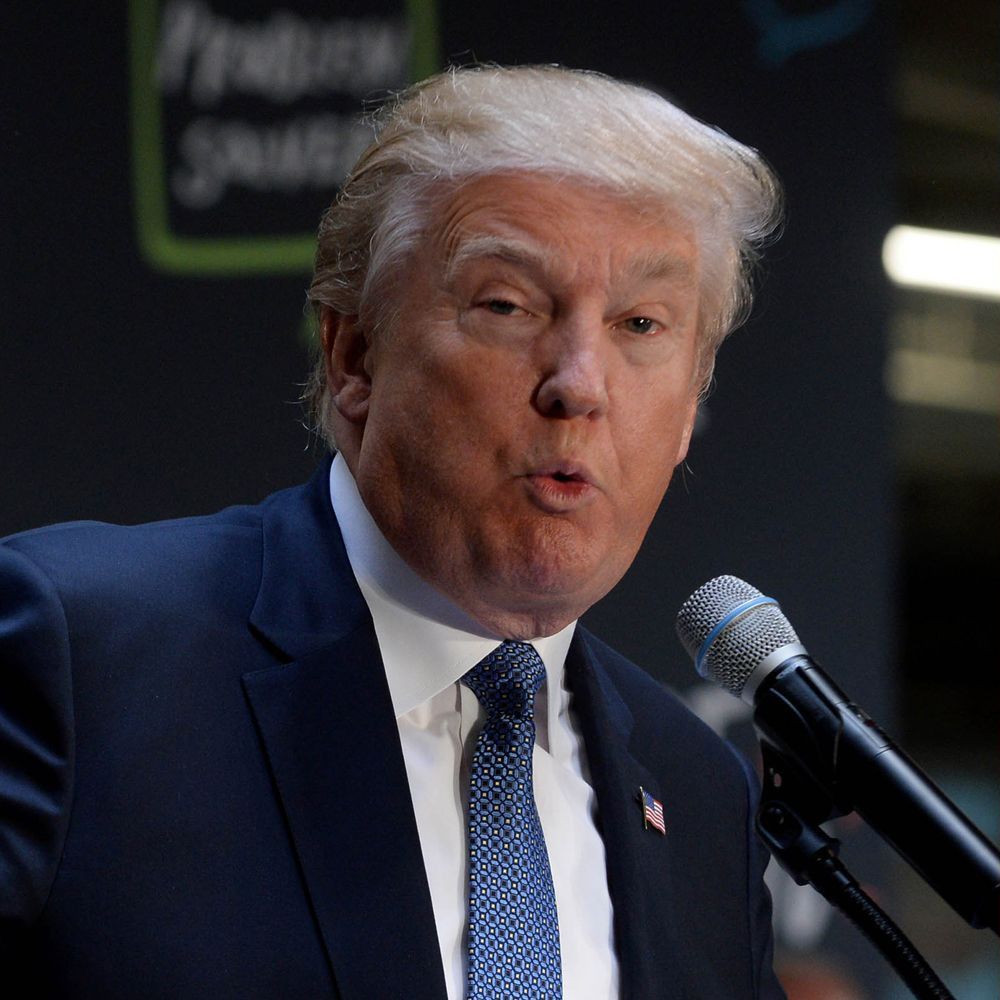 Lauren Batchelder Says She's Received Death Threats After Trump Tweeted ...