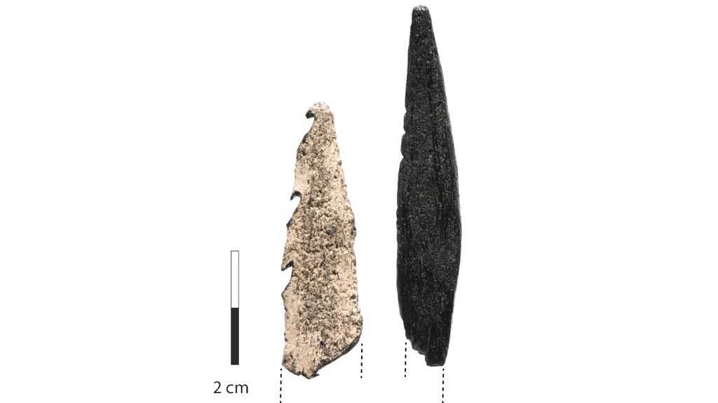Weapons carved from human bone come from drowned land bridge between UK ...
