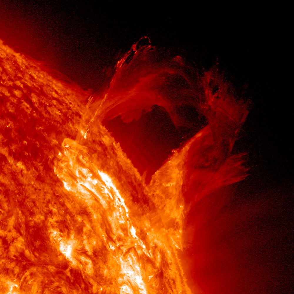 'Graceful Eruption' on Sun (Stunning Photo and Video) | Space