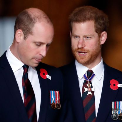 Reverend Reveals What Prince Harry and Prince William Said During Joint ...