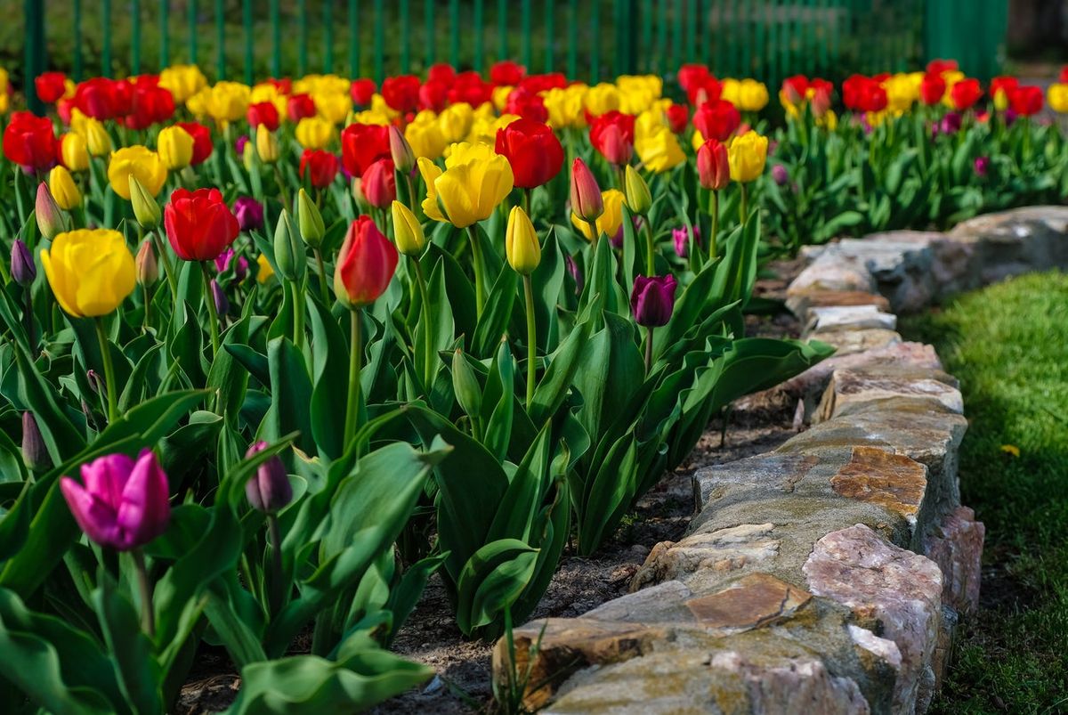 Ideas For Berm Borders: Tips For Edging A Berm In The Garden ...