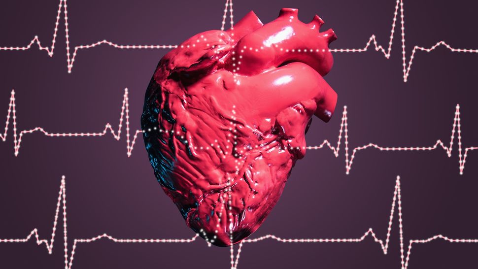 How many times does a heart beat in a day? What about in a lifetime ...