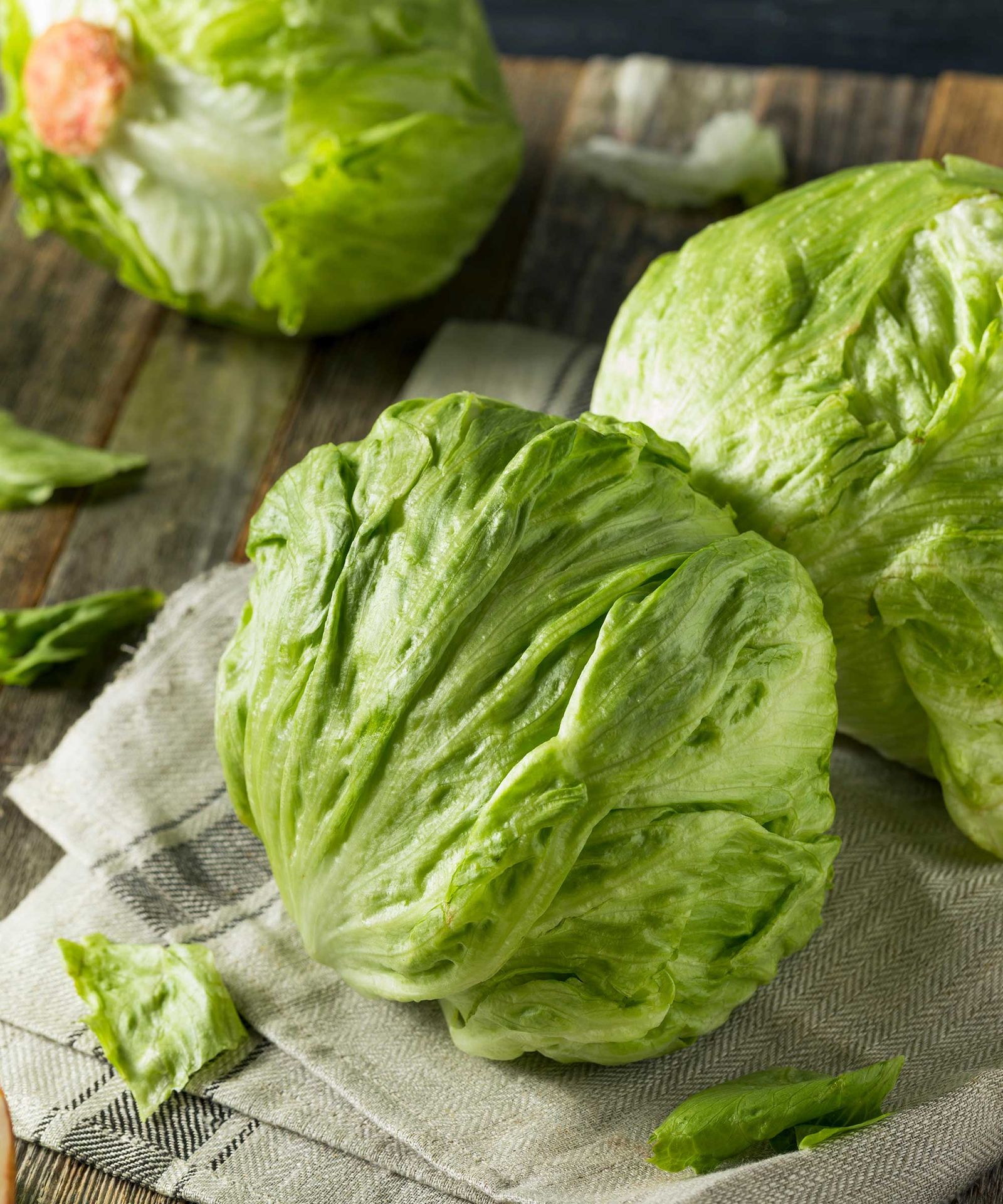 How to harvest lettuce so it keeps growing: top tips to try | Gardeningetc
