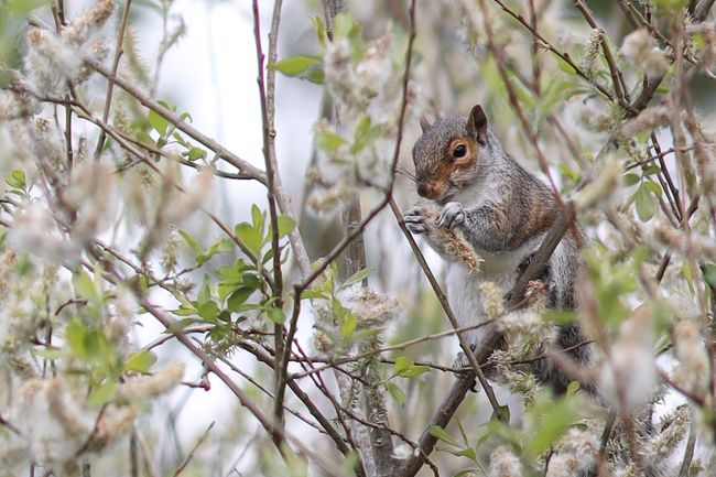 Canon EOS R100 review: the beginner camera to beat all others | Digital ...