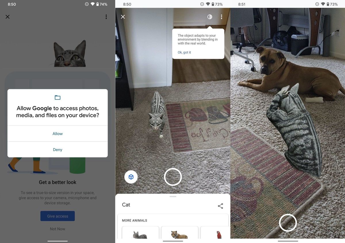 Google 3D animals & AR objects: Full list & gallery | Android Central