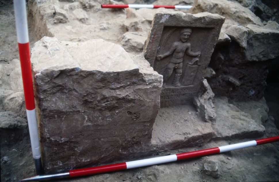 In Photos: A Gladiator Burial Pit | Live Science