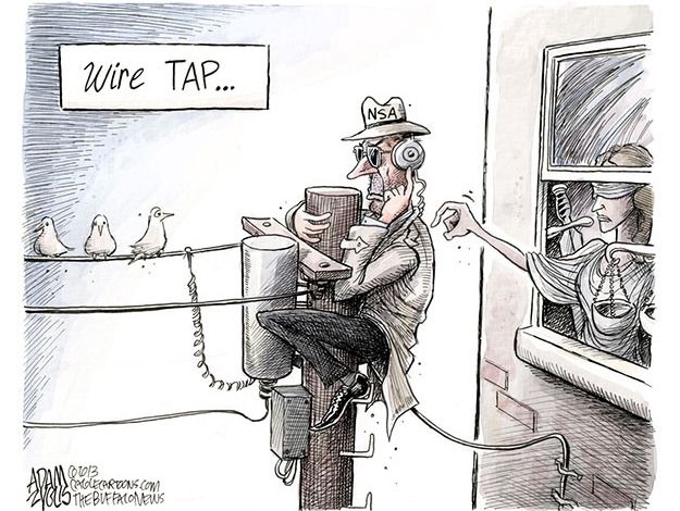 Political cartoon NSA courts | The Week