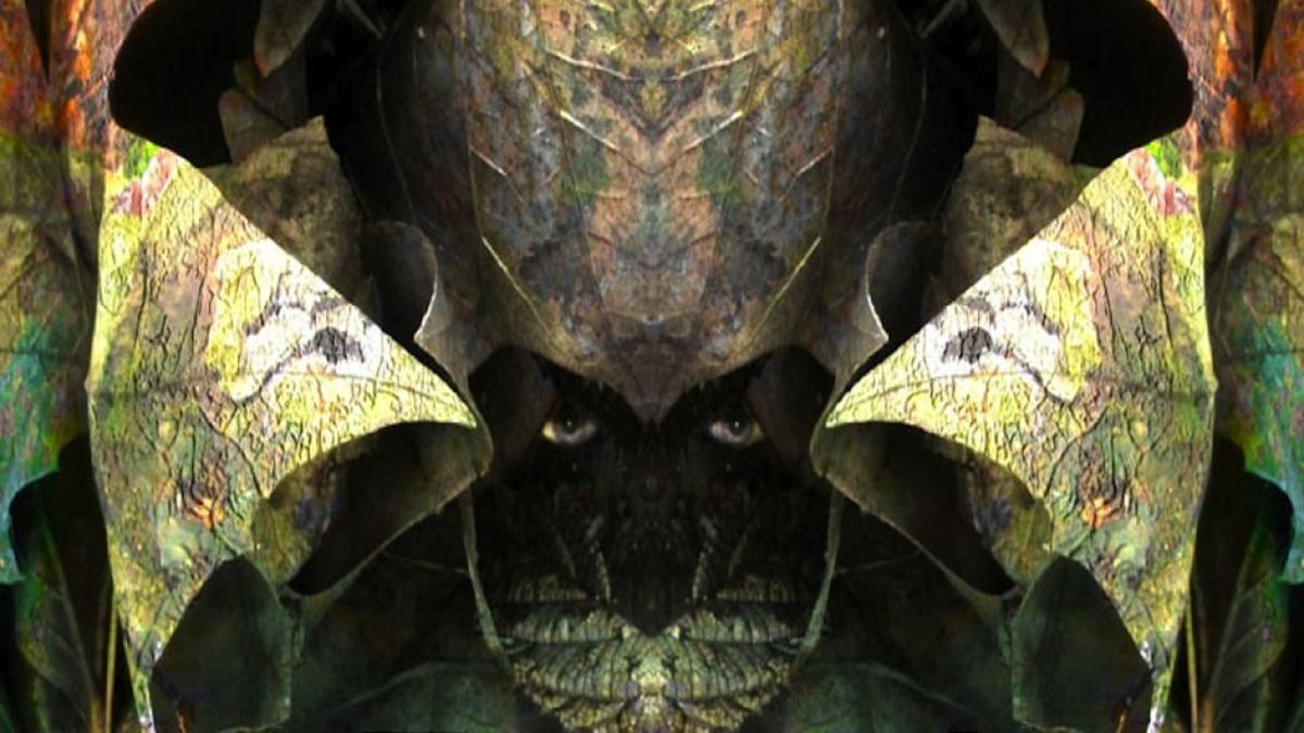 Hawkwind: Onward | Louder