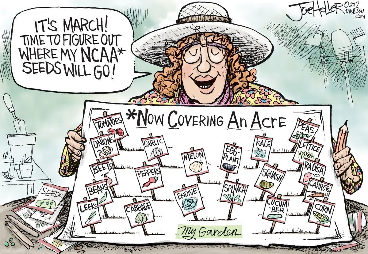 Editorial Cartoon U.S. NCAA March Madness bracket Basketball | The Week