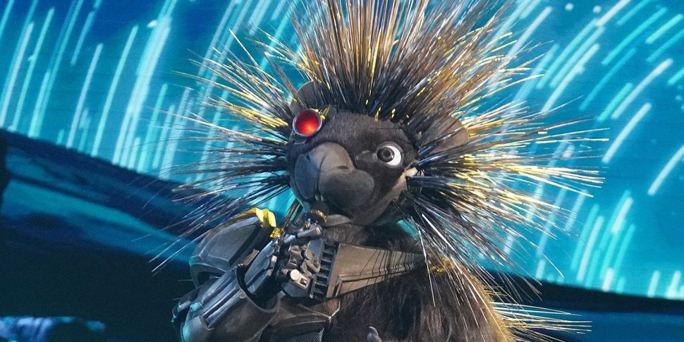 The Masked Singer’s Robopine Reveals The Clue He Didn’t Want Included ...