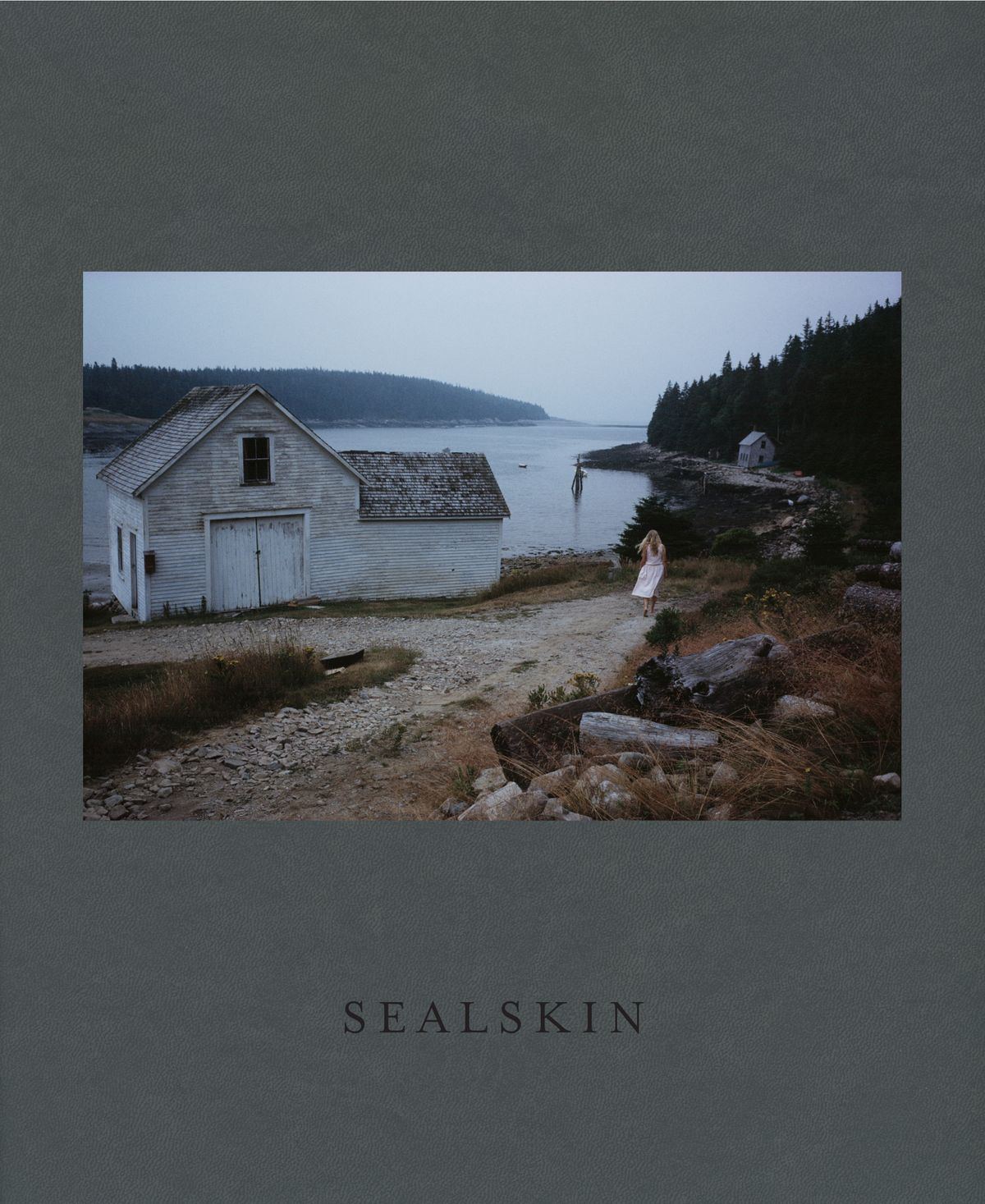 Jeff Dworsky’s 'Sealskin' is a masterclass in intimate storytelling ...