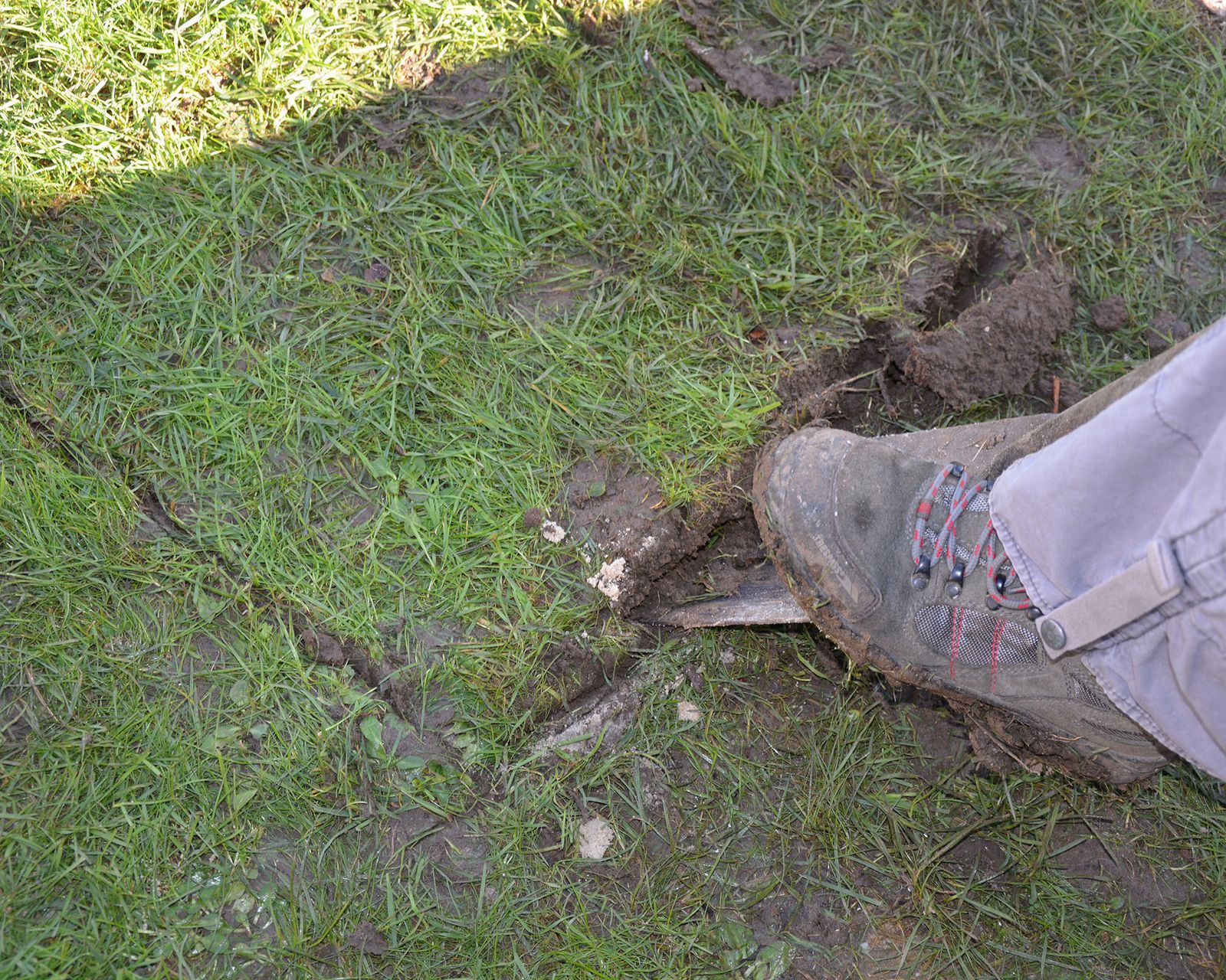 How to lay stepping stones on grass: 4 easy steps | Gardeningetc