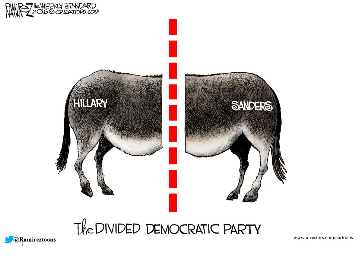 POlitical Cartoon U.S. Democrats divided | The Week