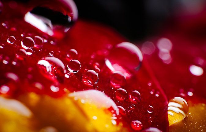 The Best Windows 10 Themes (and Where to Download Them) | Laptop Mag