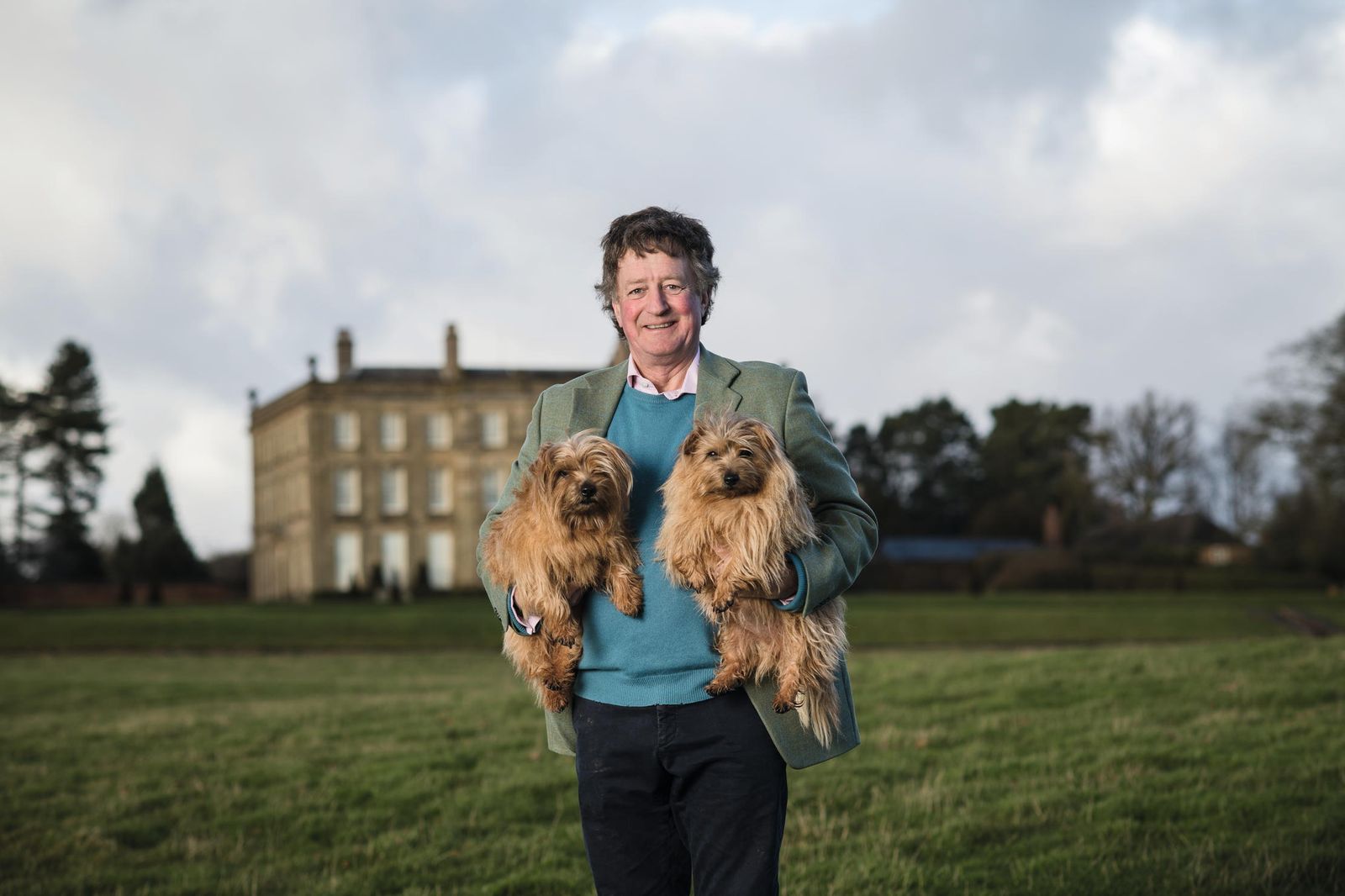Norfolk terriers: ‘Stubborn little bearers of total joy’ | Country Life