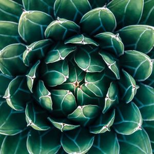 Plant Hardiness Zones - How To Determine Your Garden Zone For ...