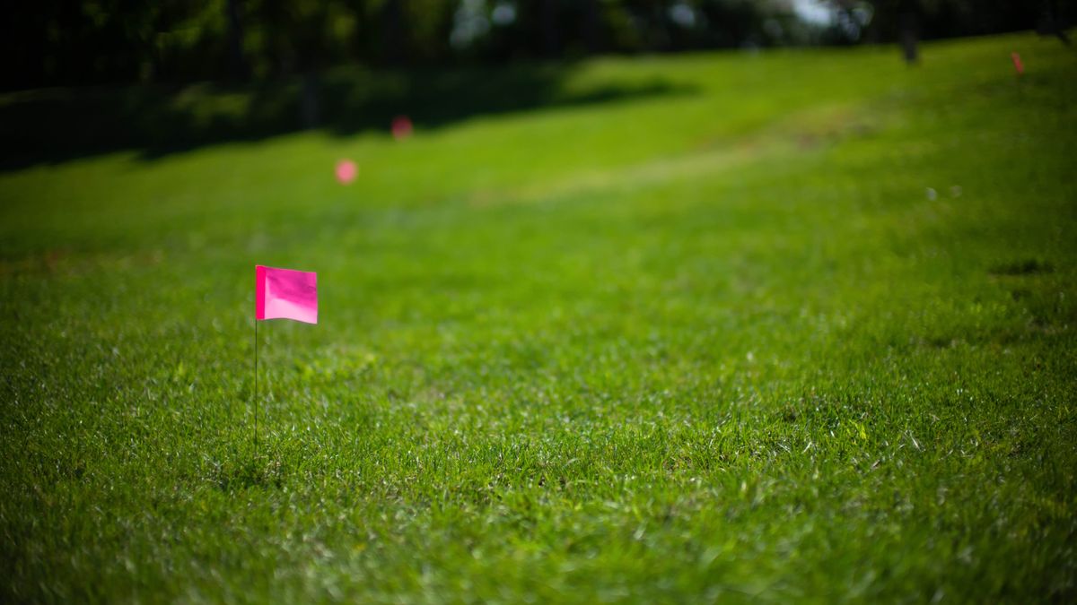 How to aerate a lawn and when to do it | Tom's Guide