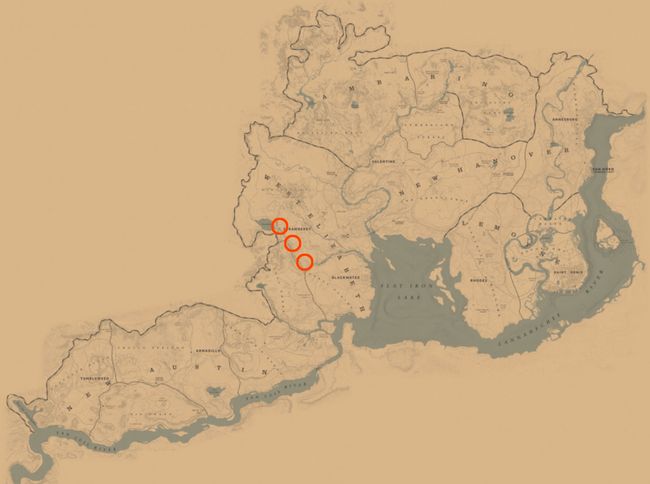 Red Dead Redemption 2 Animals: Chipmunk - Hawk - Red Dead Redemption 2 ...