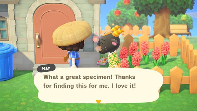 Animal Crossing: New Horizons - The best gifts to give each villager ...
