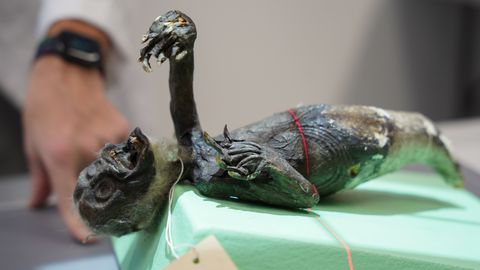 Haunting 'mermaid' mummy from Japan is a gruesome monkey-fish hybrid ...