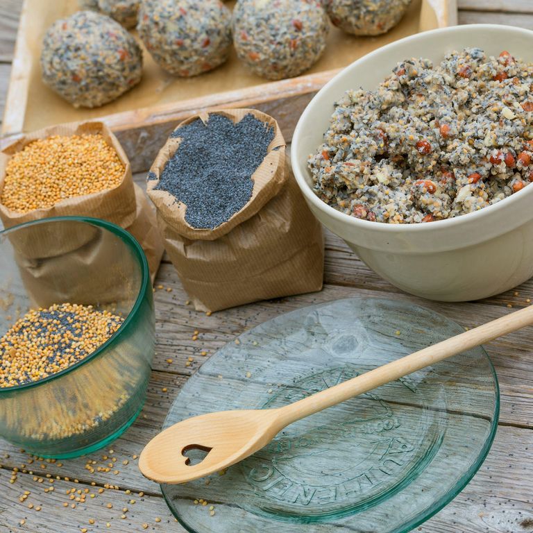 How to make fat balls for birds in 4 easy steps | Homes and Gardens