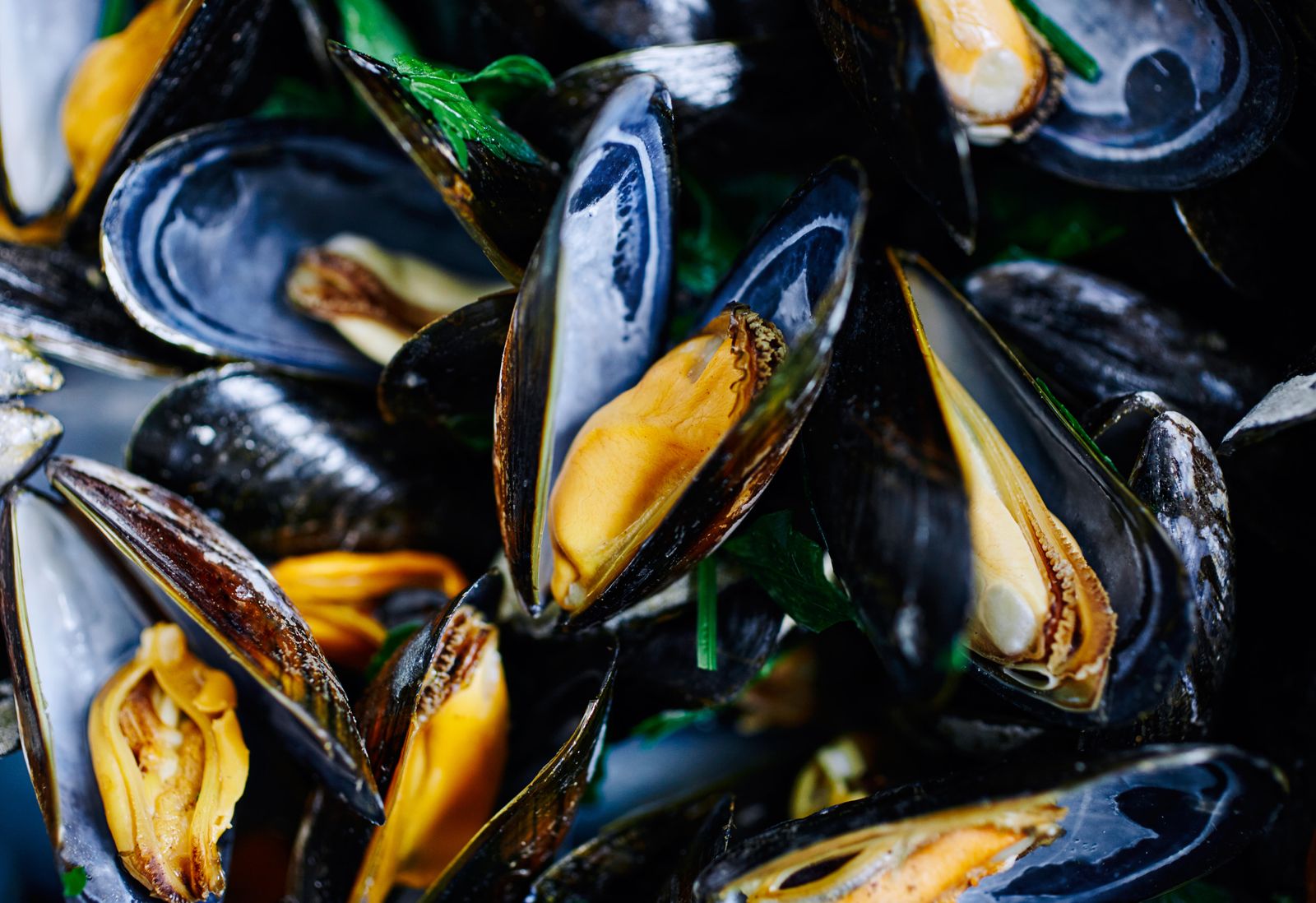 Greatest Recipes Ever: Simon Hopkinson's mussels | Country Life