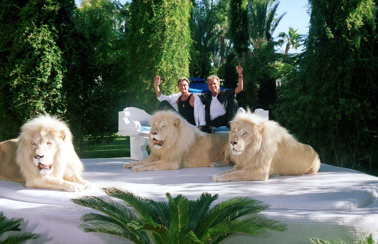 Siegfried and Roy podcast Wild Things—lives and tiger attack | Woman & Home
