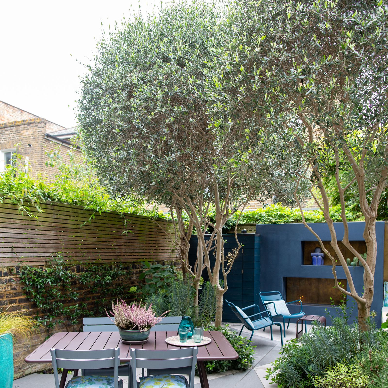 How to prune olive trees - experts share their top tips to keep your ...