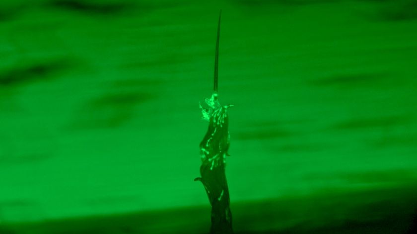 Soggy rodents tangle their tails in one big knot in horrifying 'rat ...