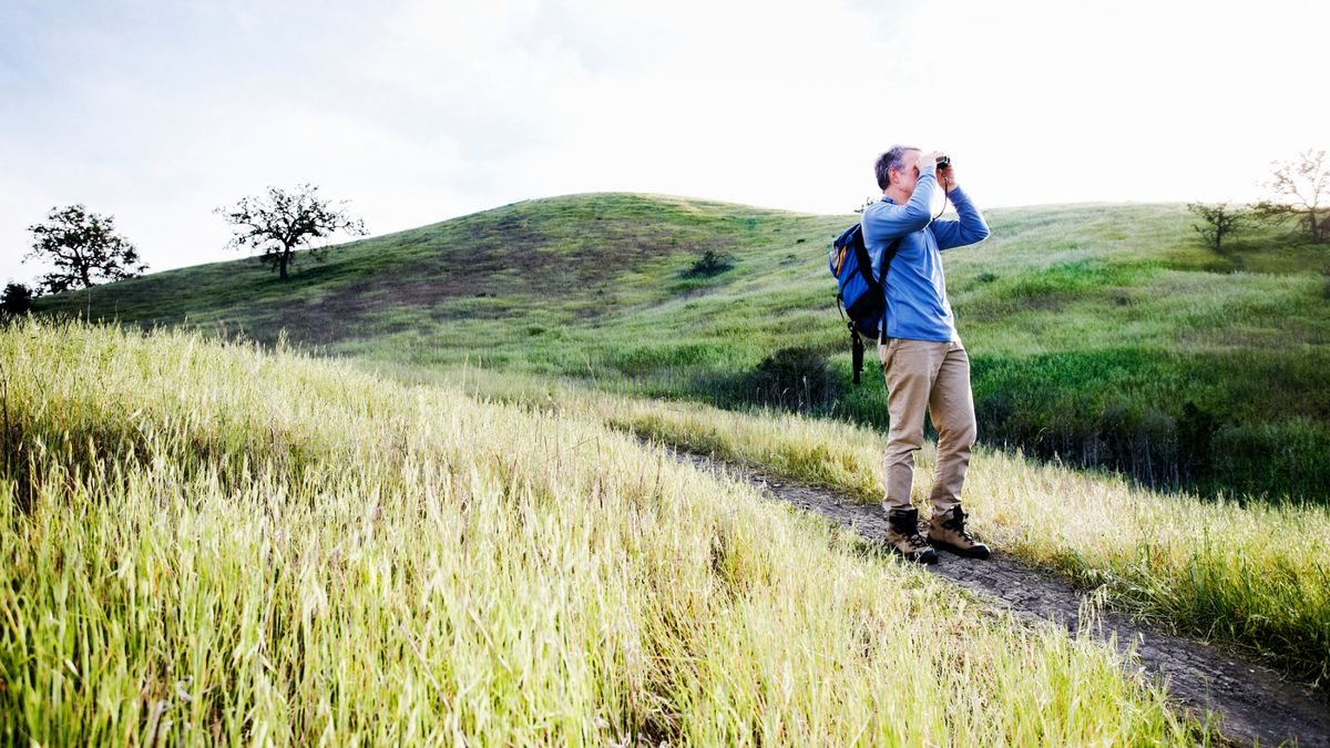 How to watch wildlife and appreciate the natural world | Advnture